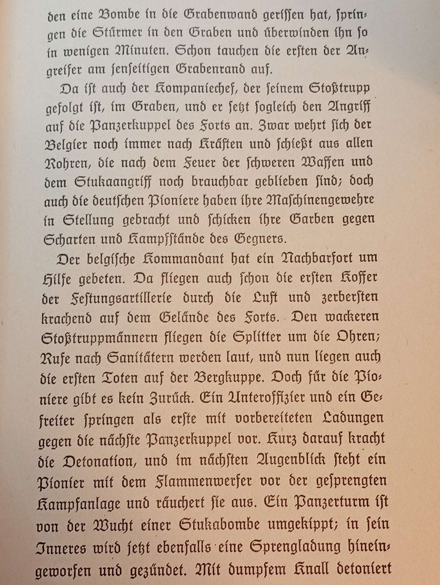 Men under black flags. Pioneers in the Greater German Freedom Struggle ...